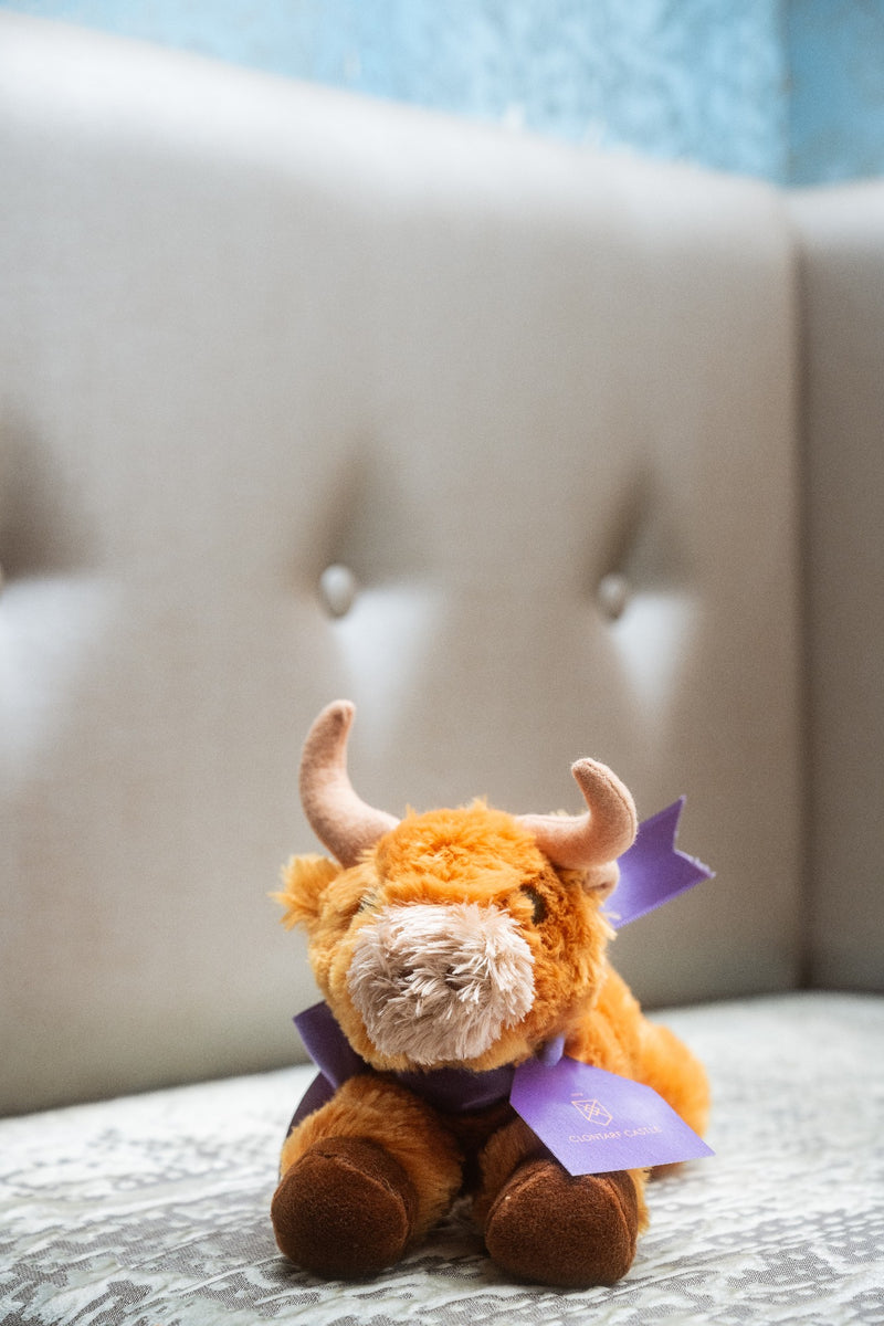 Bully the Clontarf Bull | Plush Toy | Clontarf Castle Mascot – Clontarf ...